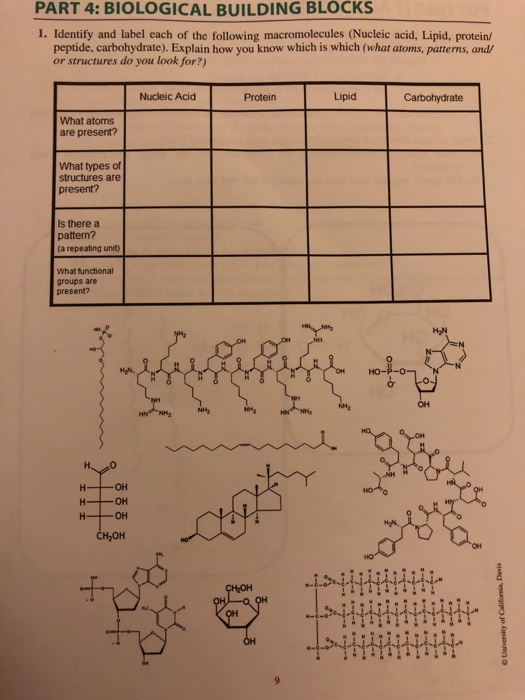 Solved PART 4: BIOLOGICAL BUILDING BLOCKS 1. Identify and | Chegg.com