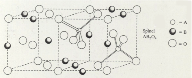 Solved (1) Briefly describe the key features of this | Chegg.com