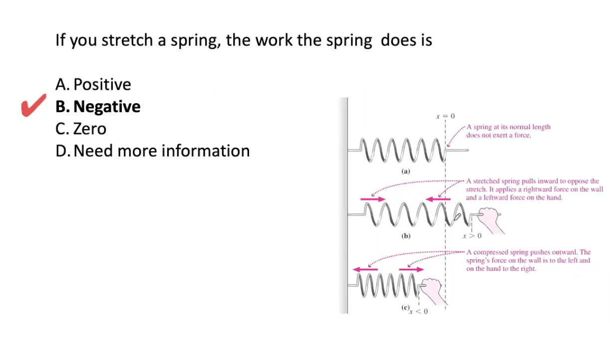 Solved If you stretch a spring, the work the spring does is | Chegg.com