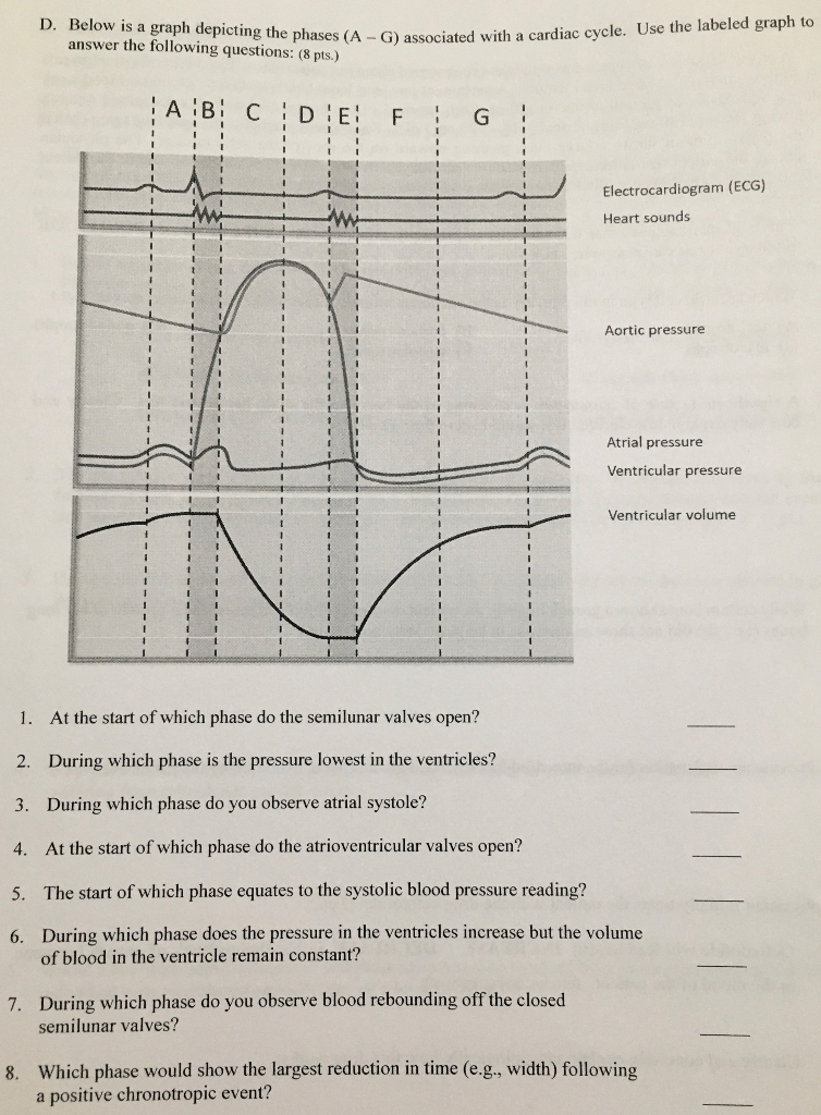 Solved Below is a graph depicting the phases associated with | Chegg.com