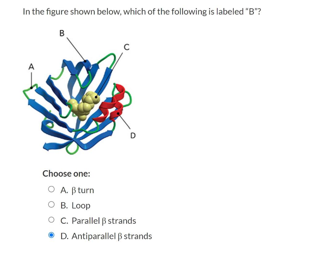Solved In the figure shown below, which of the following is | Chegg.com