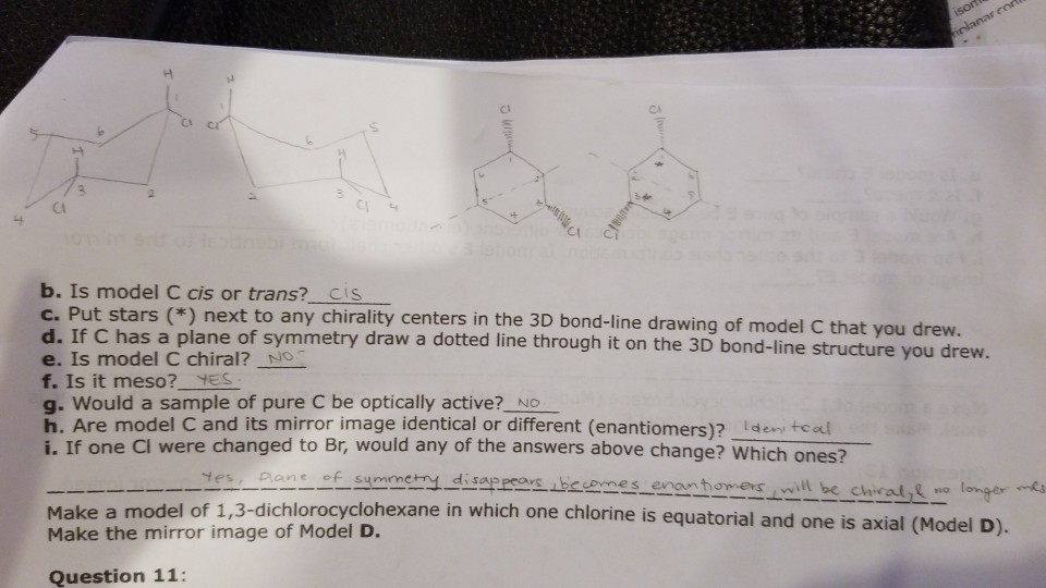 Solved Assemble a model of 1,4-dichlorocyclohexane with both | Chegg.com