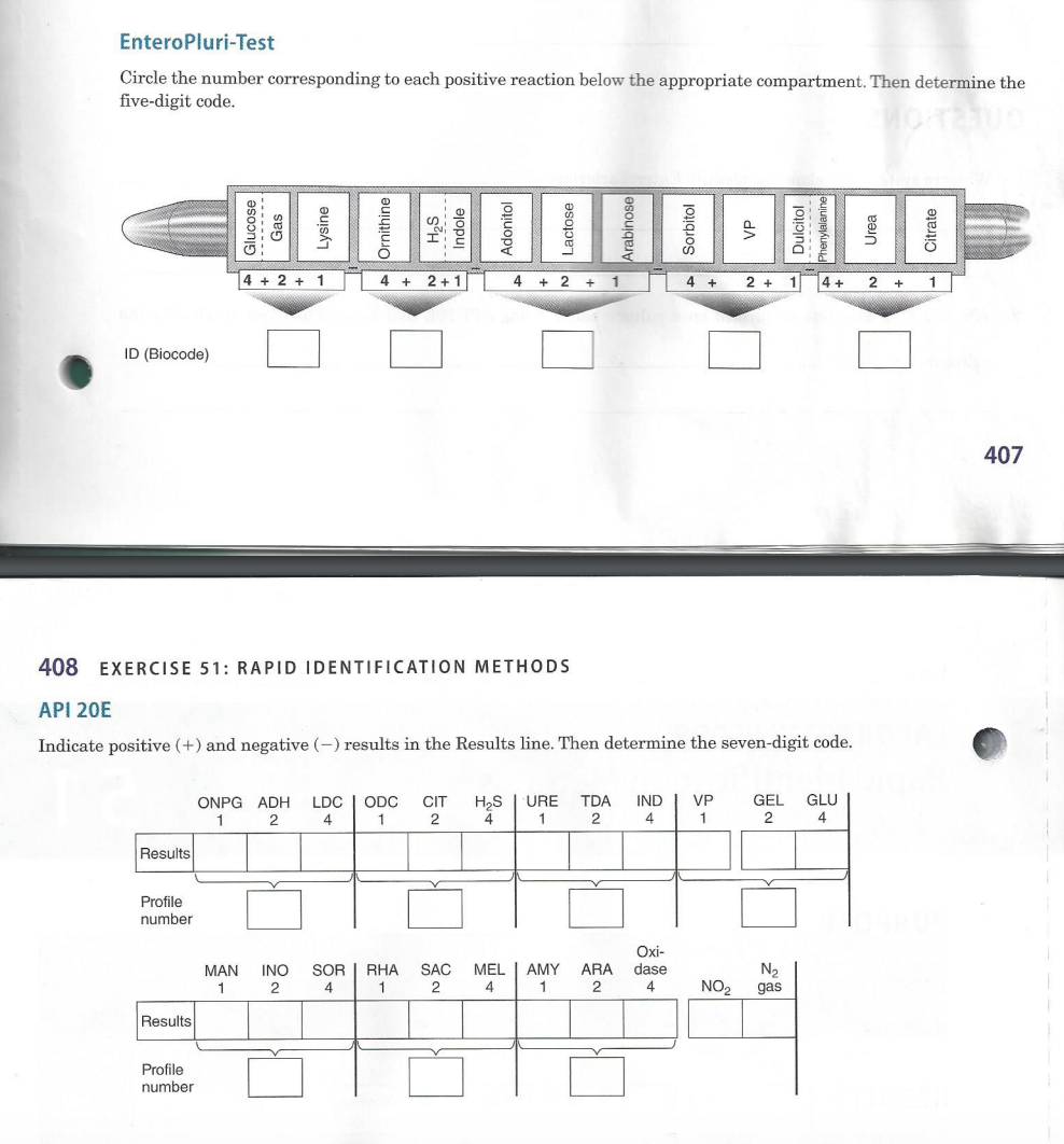 Solved EnteroPluri Test Summarv of Positive and Negative | Chegg.com