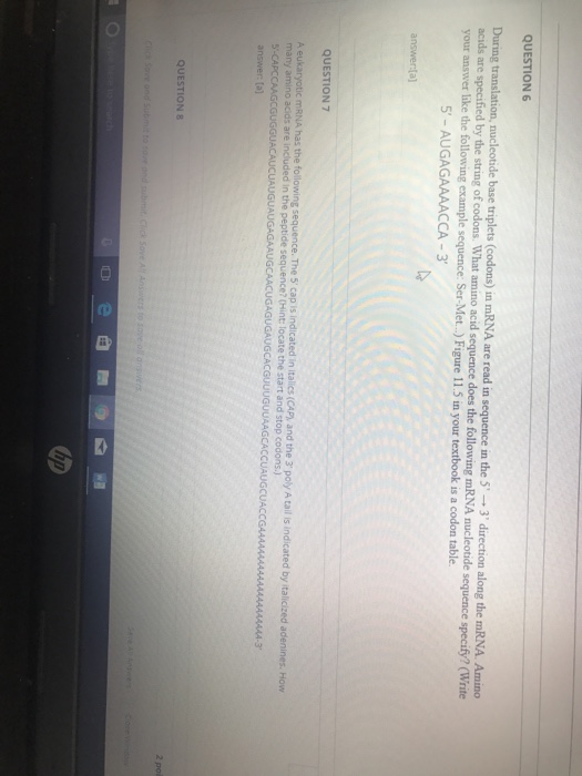 During translation, nucleotide base triplets (codons) | Chegg.com