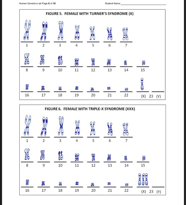 Solved Human Genetics Lab Note: You will be emailed a unique | Chegg.com