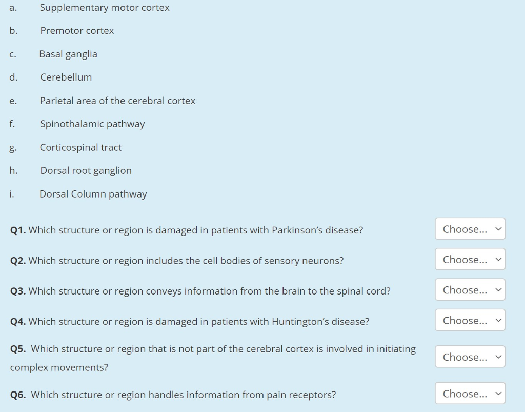 Solved a. Supplementary motor cortex b. Premotor cortex | Chegg.com