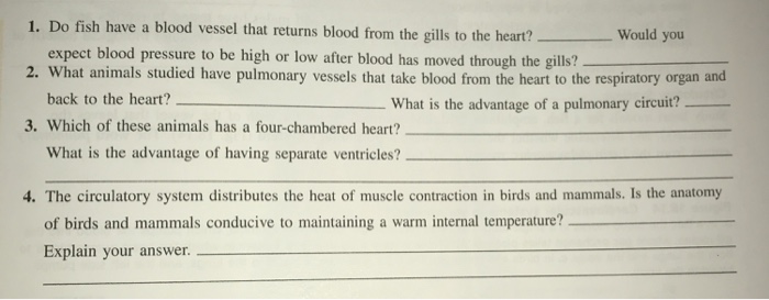Solved 1. Do fish have a blood vessel that returns blood | Chegg.com