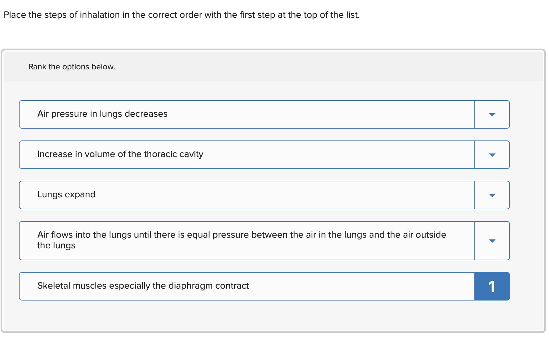 Solved Place the steps of exhalation in the correct order | Chegg.com