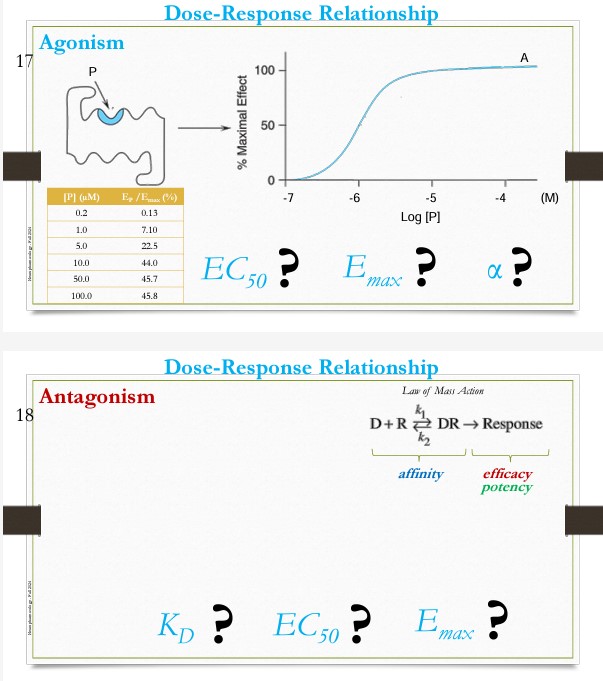Solved Dose-Response RelationshipAntagonism Please help | Chegg.com