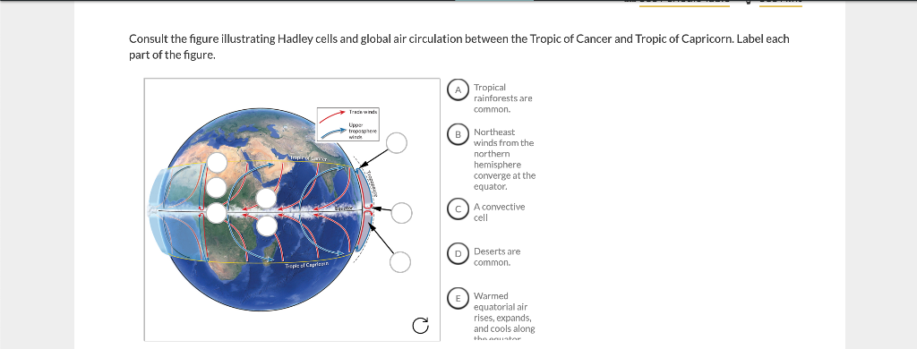 Solved Consult the figure illustrating Hadley cells and | Chegg.com