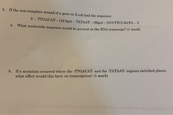 Solved 5. If the non-template strand of a gene in E.coli had | Chegg.com