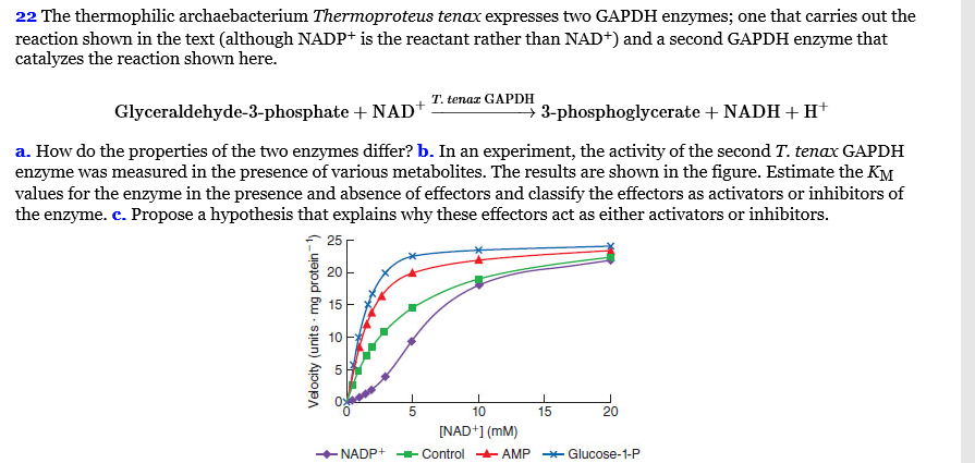The thermophilic archaebacterium Thermoproteus tenax | Chegg.com