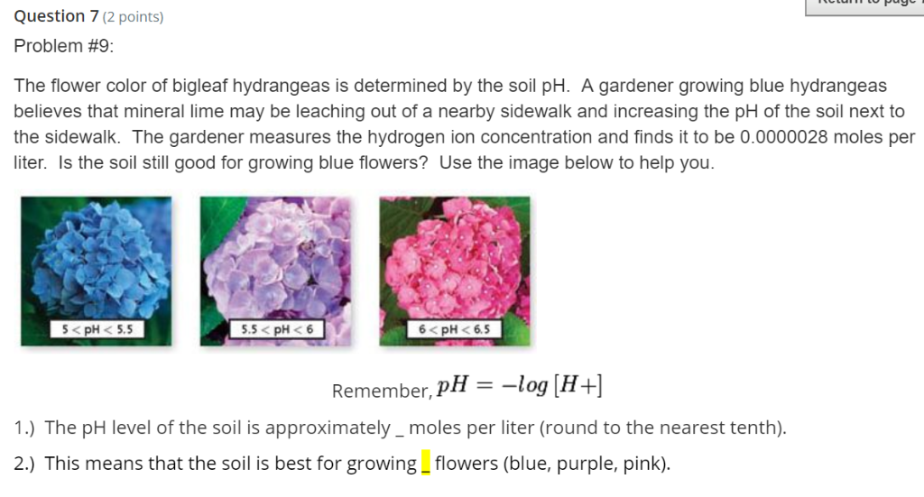 Solved Question 7 (2 points) Problem #9: The flower color of | Chegg.com Solved Question 7 (2 points) Problem #9: The flower color of | Chegg.com