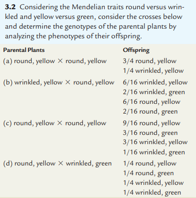 Trihybrid Cross Forked Line Method
