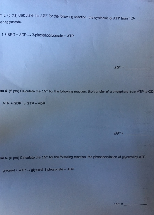 Solved ATP + H20 ADP +P GTP + H20 GDP +P phosphoenolpyruvate | Chegg.com