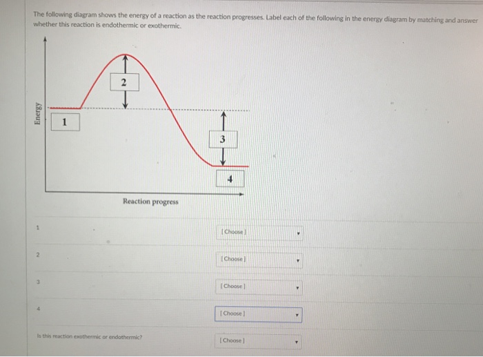 Solved The following diagram shows the energy of a reaction | Chegg.com