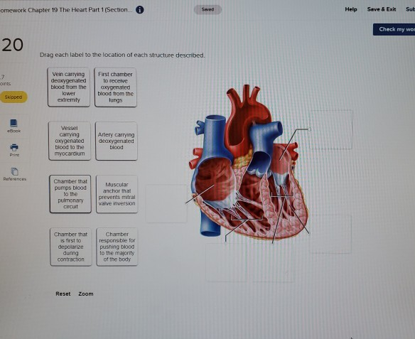 Solved omework Chapter 19 The Heart Part 1 (Section 6 Help | Chegg.com
