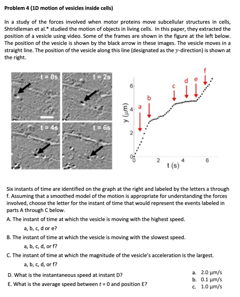 Solved Problem 4 (1D motion of vesicles inside cells) In a | Chegg.com