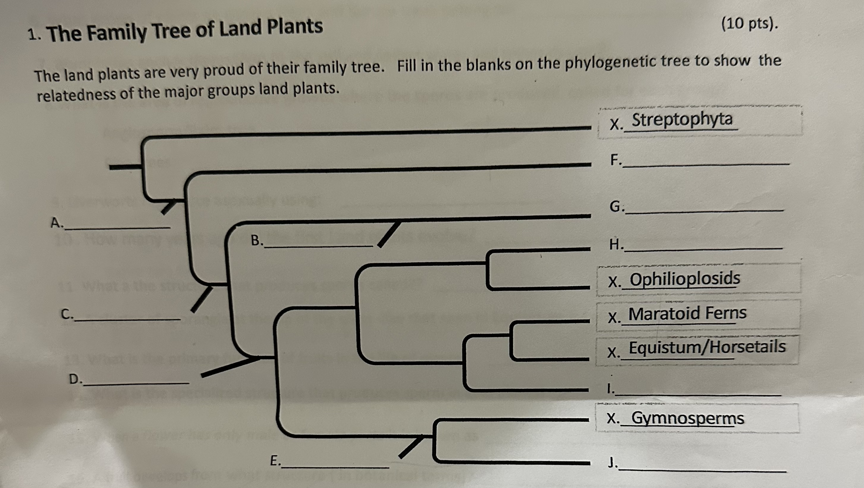 Solved The Family Tree of Land Plants (10 pts). The land | Chegg.com