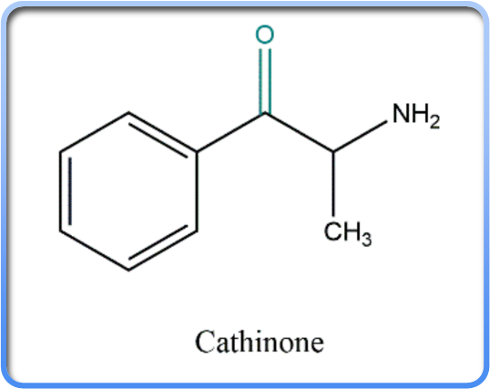 Solved Cathinone | Chegg.com