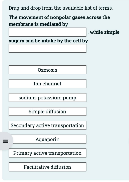 Solved Drag and drop from the available list of terms. The | Chegg.com