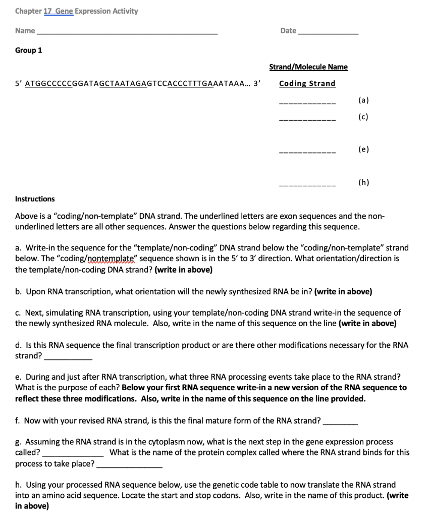 Solved Chapter 17 Gene Expression Activity Name Date Group 1 | Chegg.com