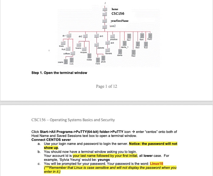 Solved Csc156 Operating Systems Basics And Security 