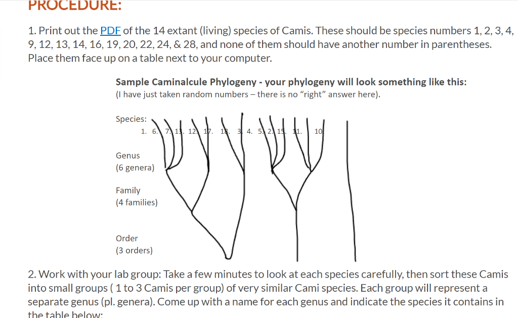 Caminalcules (Camis for short) are fictional | Chegg.com