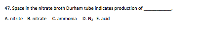 Solved 47. Space in the nitrate broth Durham tube indicates | Chegg.com