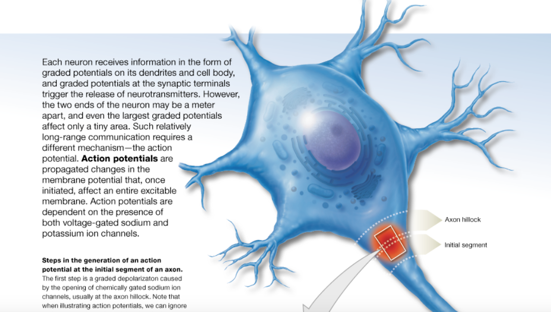 Solved List out the steps involved in generation of an | Chegg.com