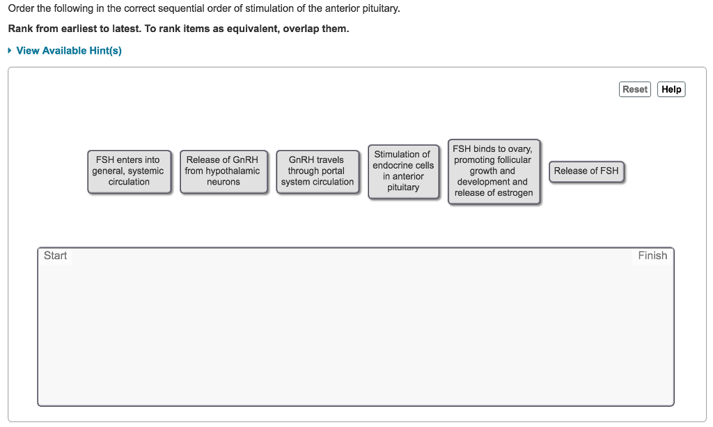 Solved Order the following in the correct sequential order | Chegg.com