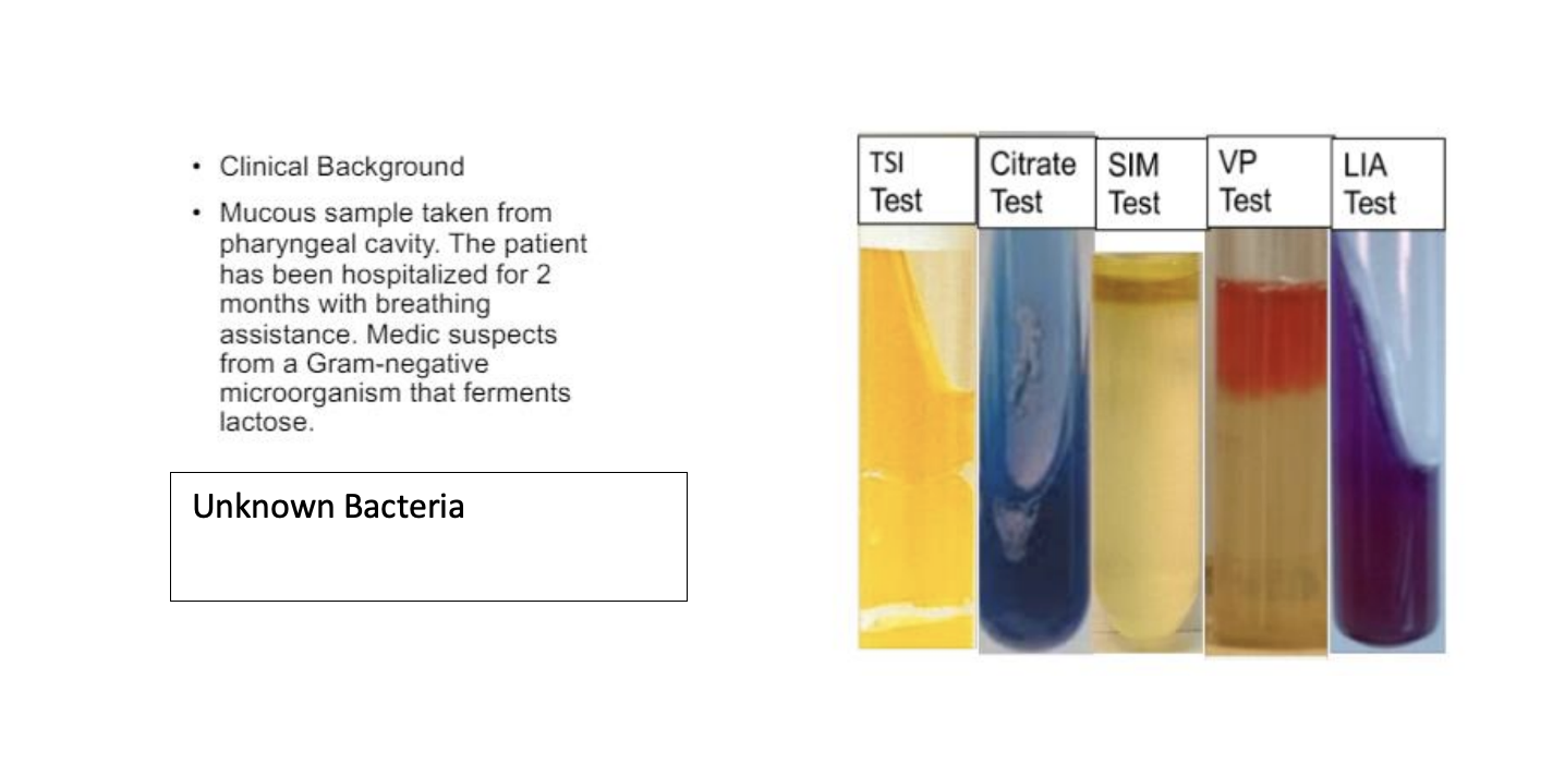 Solved O Results should be described clearly in writing as | Chegg.com