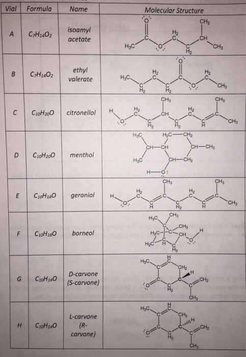 Solved Vial Formula Name Molecular Structure CHu0 isoamyl | Chegg.com