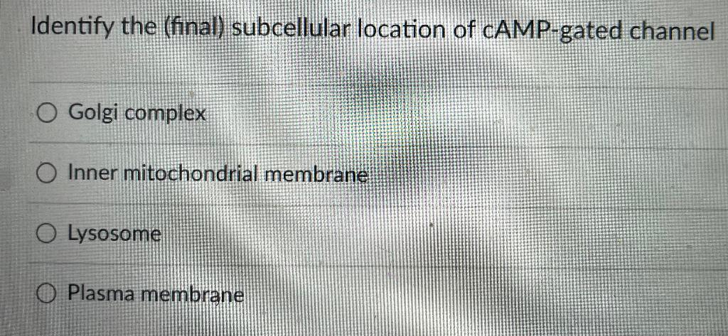Solved o factor (sigma factor). A complementary region on | Chegg.com