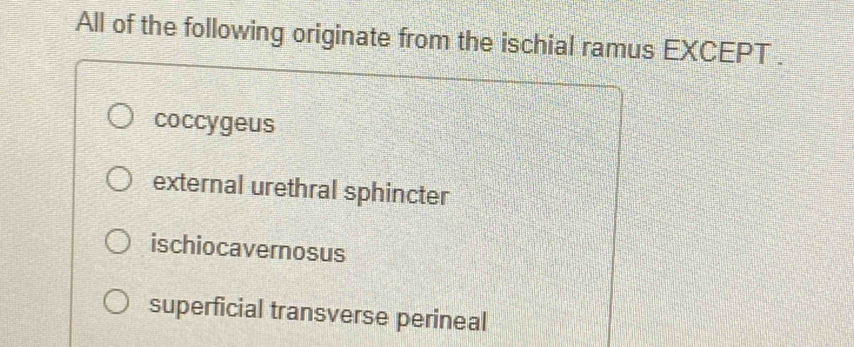 Solved All of the following originate from the ischial ramus | Chegg.com