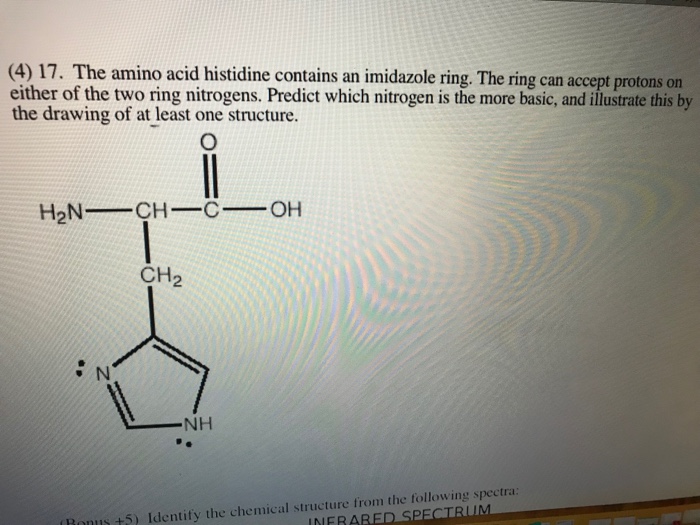 Solved (4) 17. The amino acid histidine contains an | Chegg.com