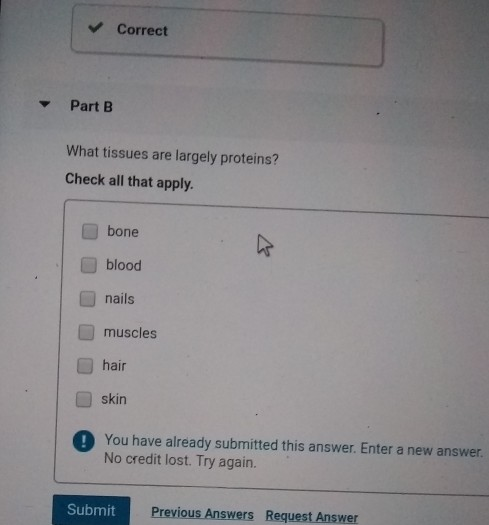 Solved Correct Part B What tissues are largely proteins? | Chegg.com Solved Correct Part B What tissues are largely proteins? | Chegg.com