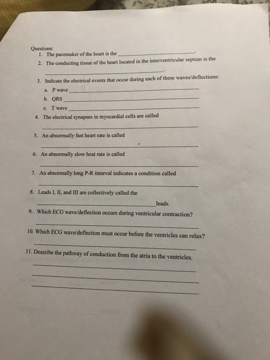 Solved Questions: I. The pacemaker of the heart is the The | Chegg.com
