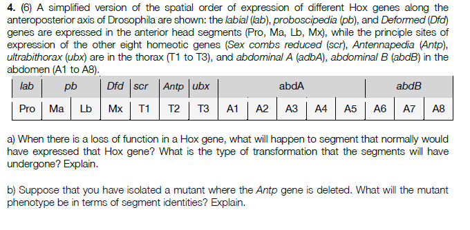 Solved 4. (6) A simplified version of the spatial order of | Chegg.com