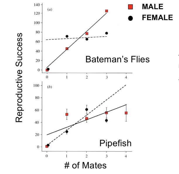 Solved Use the figure to the right to answer the following | Chegg.com