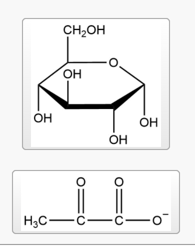 Solved The structures of five of the compounds of glycolysis | Chegg.com