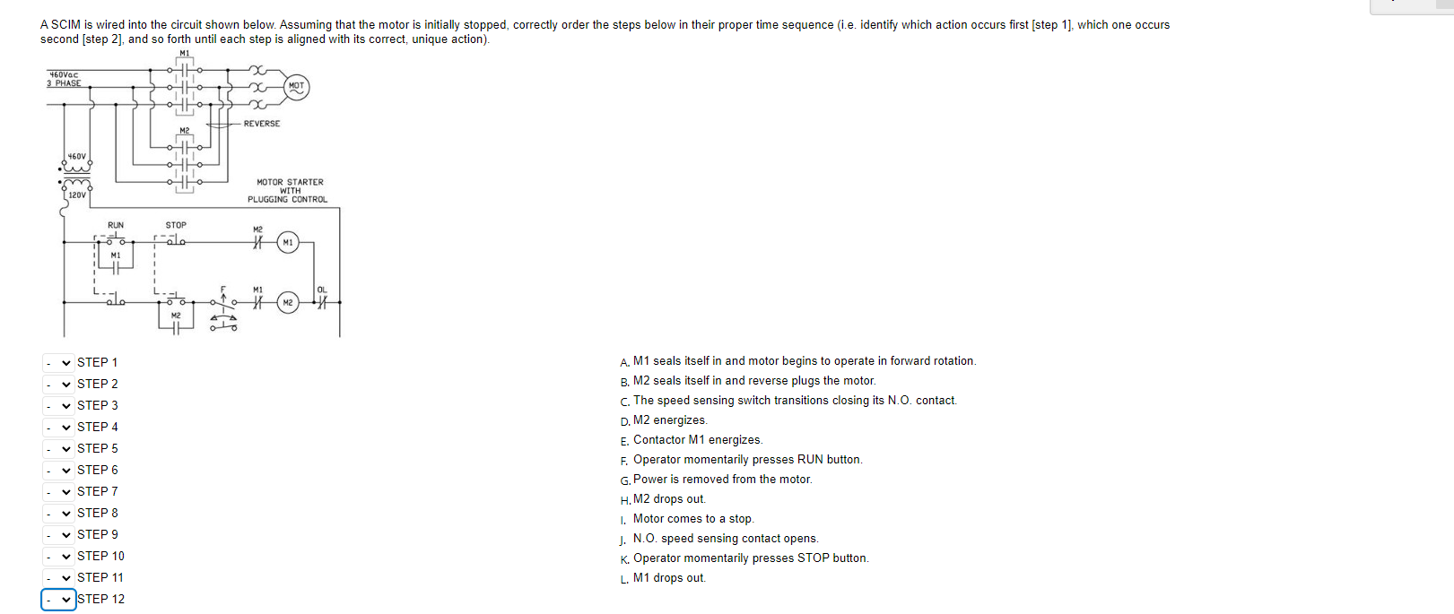 Solved second [step 2], and so forth until each step is | Chegg.com