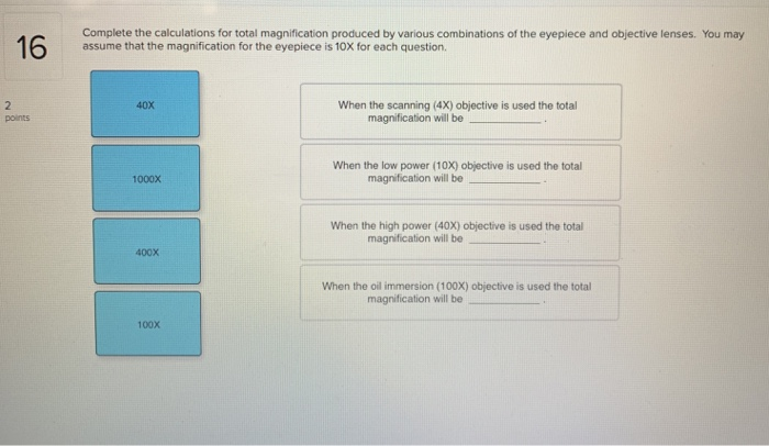 Solved Complete the calculations for total magnification | Chegg.com
