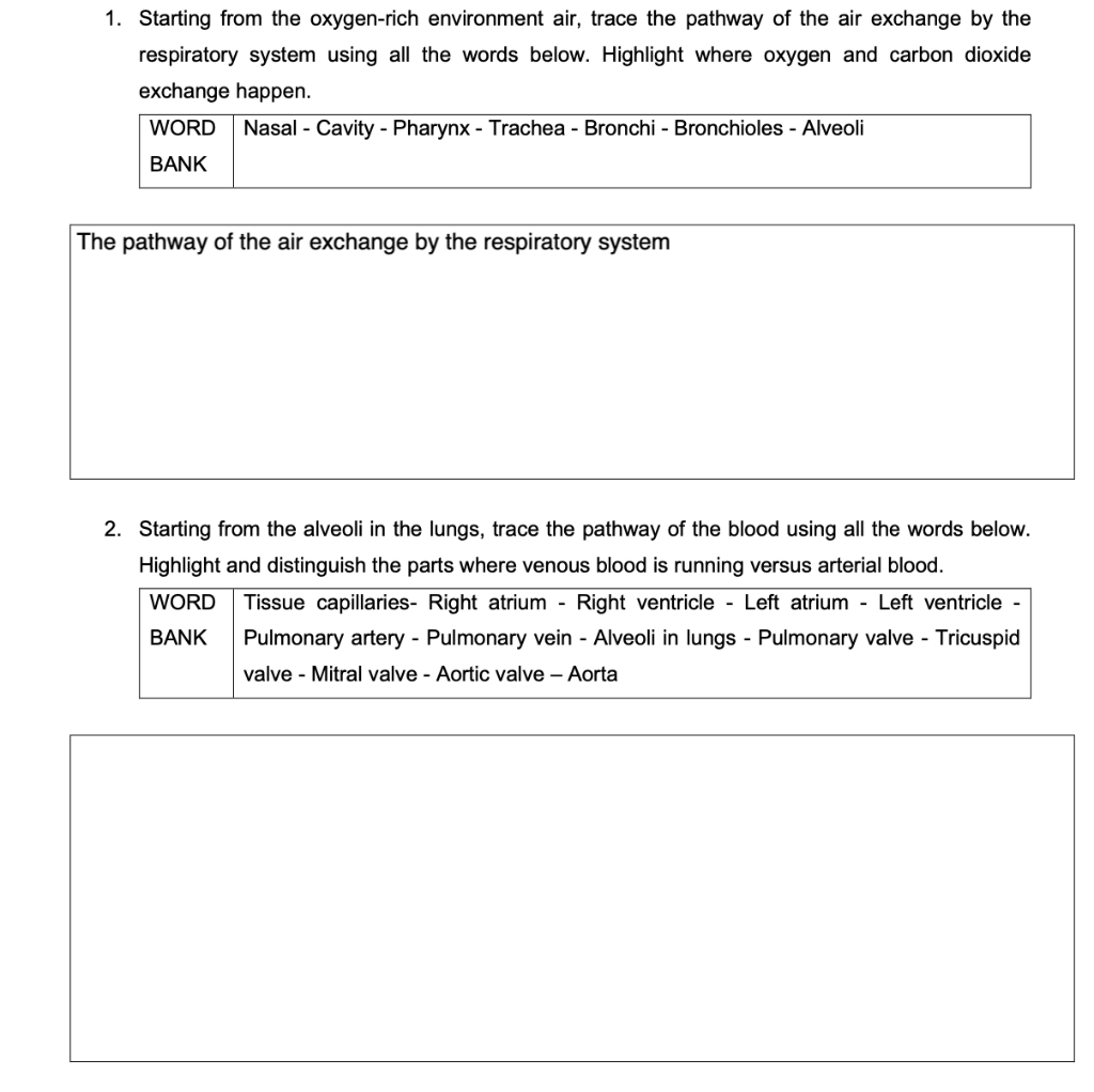 Solved 1. Starting from the oxygen-rich environment air, | Chegg.com
