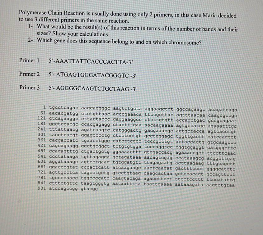 Polymerase Chain Reaction is usually done using only | Chegg.com