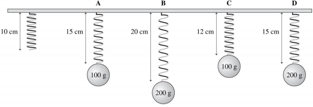 Solved A set of springs all have initial length 10 cm. Each | Chegg.com
