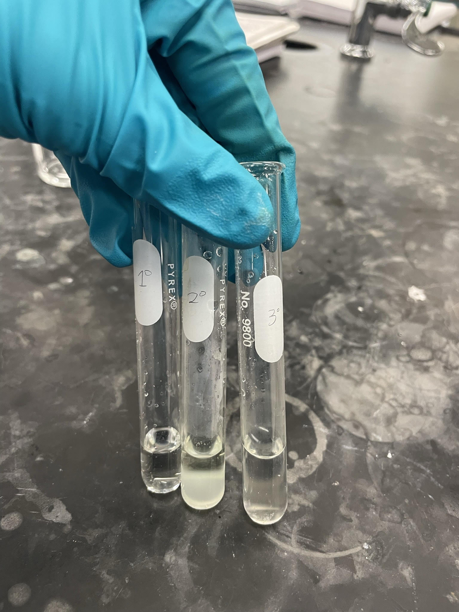 Solved can some one please help Describe your observation of | Chegg.com