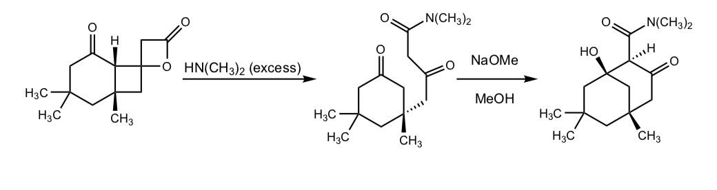 Solved N(CH3)2 N(CH3)2 H НО. Na Ome ...Н HN(CH3)2 (excess). | Chegg.com