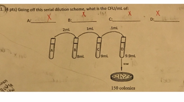 Solved 1. 4 pts) Going off this serial dilution scheme, what | Chegg.com