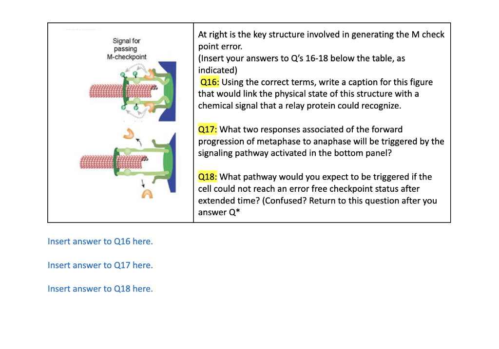 Solved Insert answer to Q16 here. Insert answer to Q17 here. | Chegg.com